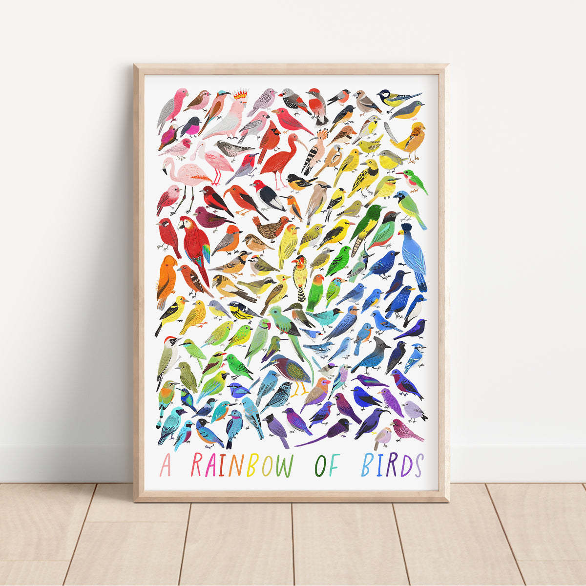 A Rainbow of Birds Art Print – Sarah Frances