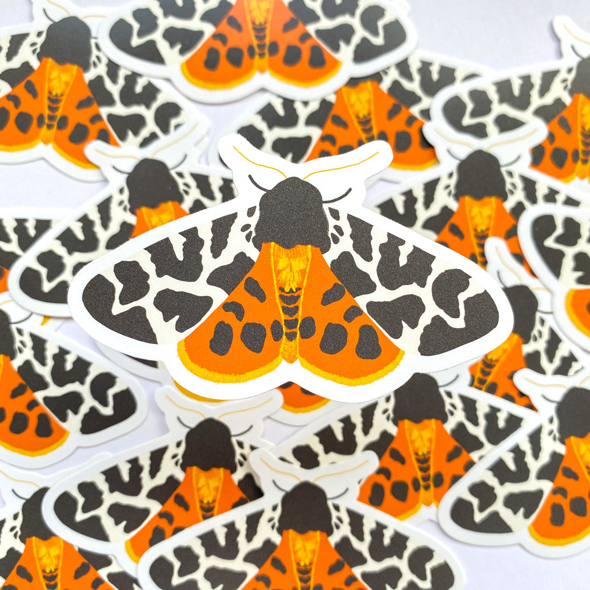 Tiger Moth Vinyl Sticker – Sarah Frances